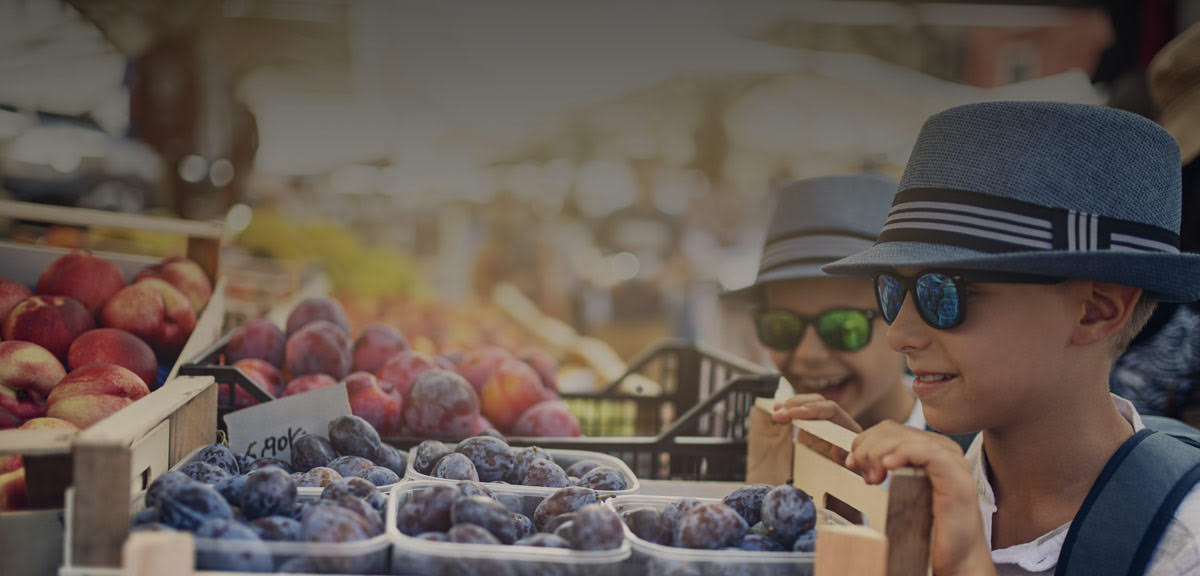 Farm Direct Food & CSA Programs | Cush Real Estate